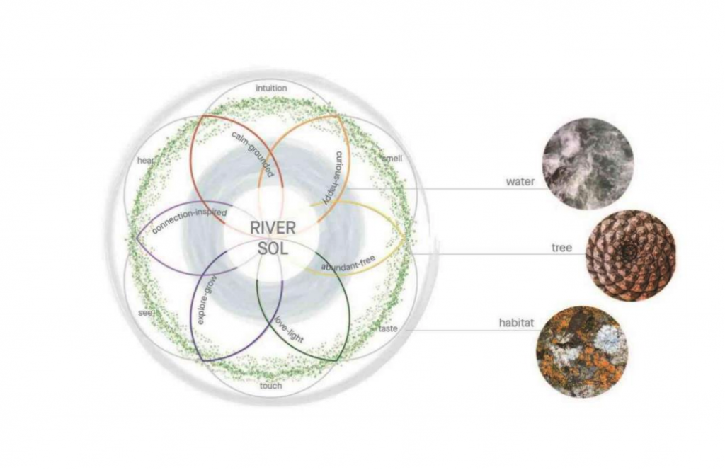 Biophilic Connections Run Deep